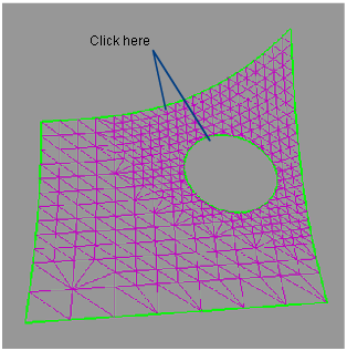 Create degree 1 NURBS curves from selected mesh boundaries