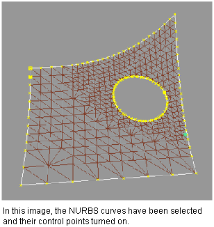 Create degree 1 NURBS curves from selected mesh boundaries