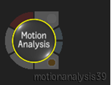 Motion Analysis