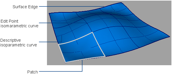 About isoparametric curves