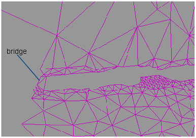 Bridge gaps in a mesh