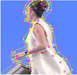 Using Region of Interest and the Tracer