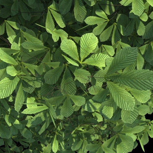 Understanding Physically Based Rendering in Arnold