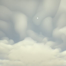 Cloud Fluids with the Physical Sky