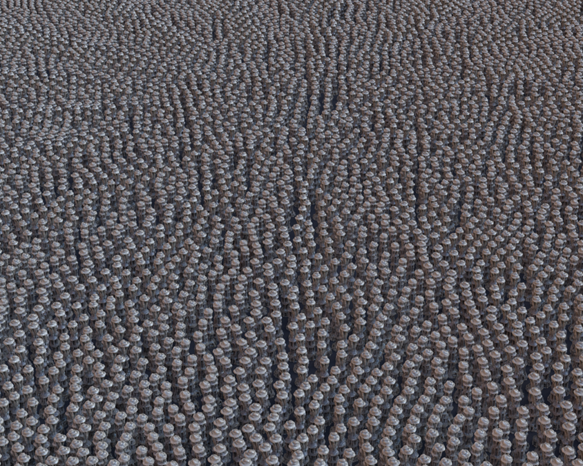 Guide to Rendering with XGen and Arnold