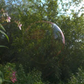 Iridescent Soap Bubble Shader