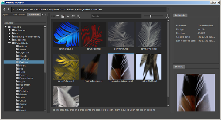 Rendering Curves as Feathers