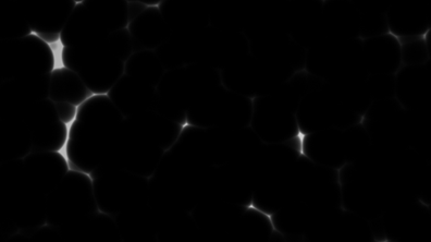 Caustic Effect Using Cell Noise: Shark Scene