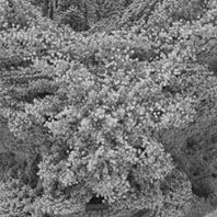 How to Render a Mandelbulb