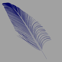 Rendering Curves as Feathers