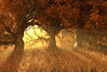 Rendering Opacity Maps with Paint Effects