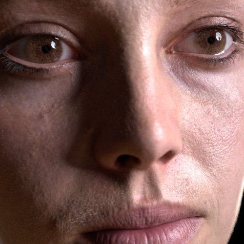 次表面(Subsurface)