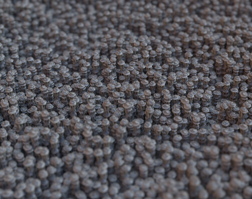 XGen 和 Arnold 渲染手册