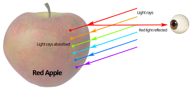 Understanding Physically Based Rendering in Arnold