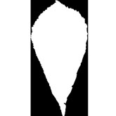 Understanding Physically Based Rendering in Arnold