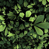 Understanding Physically Based Rendering in Arnold