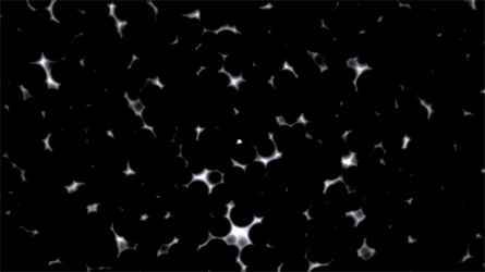 Caustic Effect Using Cell Noise: Shark Scene