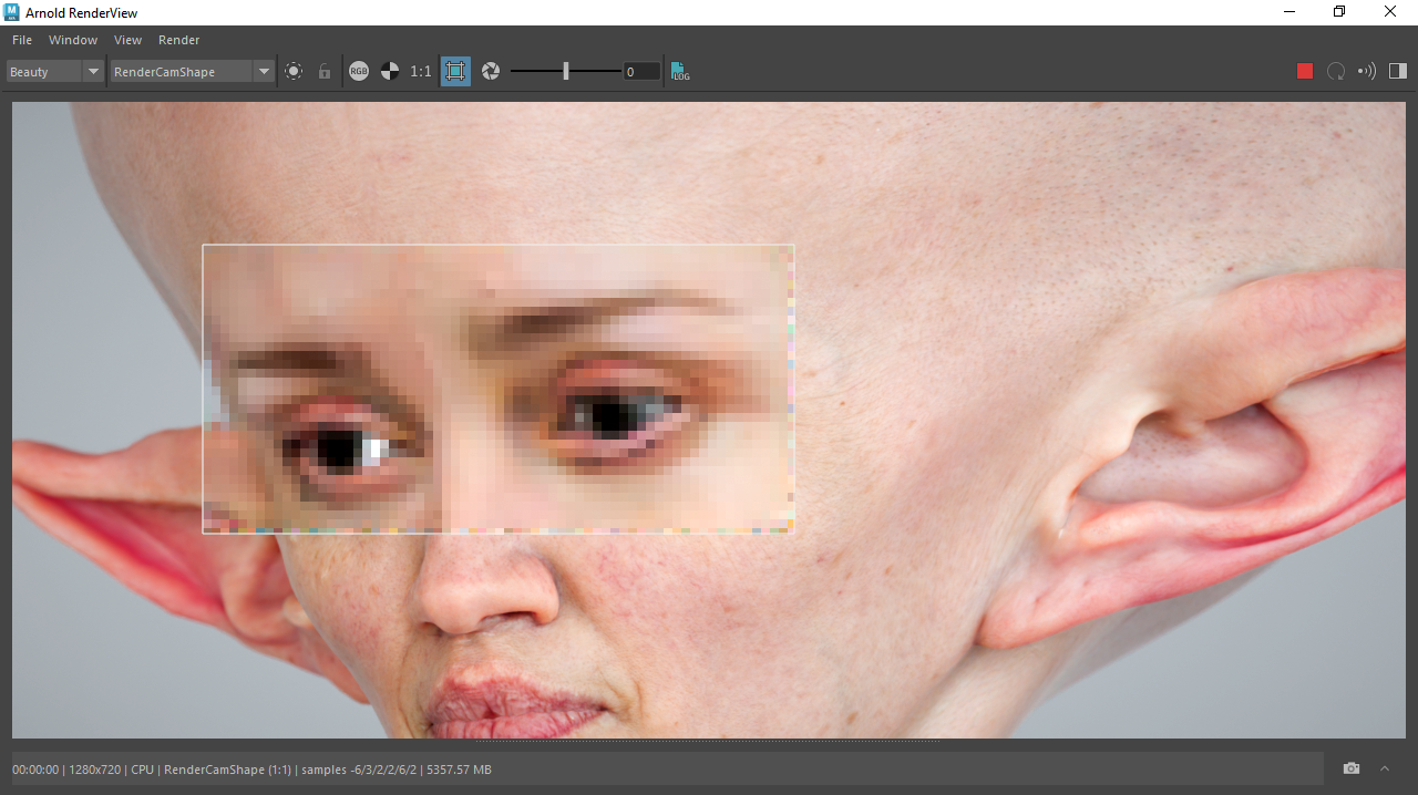 Arnold RenderView ウィンドウ