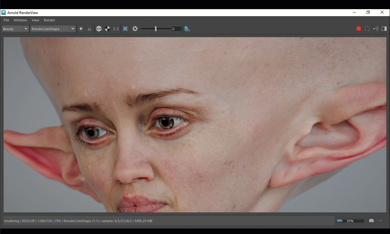 Arnold RenderView ウィンドウ