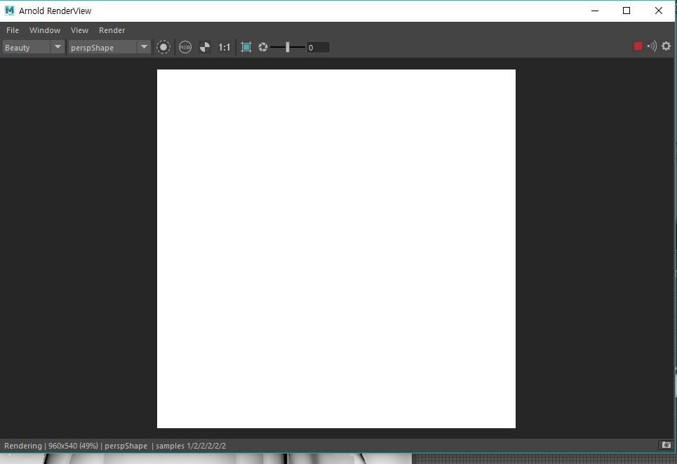Arnold Render View is white in Maya