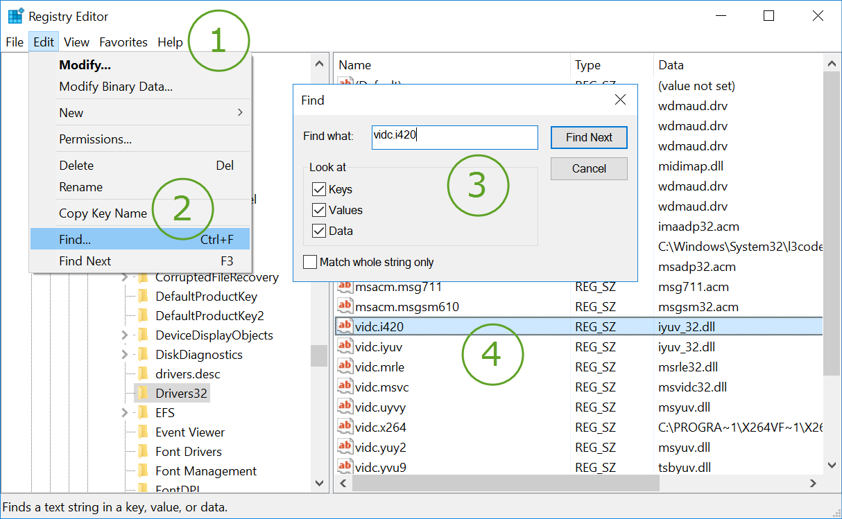 Selecting a codec in the Make Preview Animation window crashes to CER ...