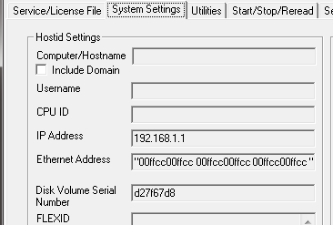 License server have 2 or more MAC address