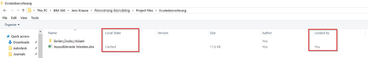 How to avoid conflicts when working in Offline mode of Desktop Connector