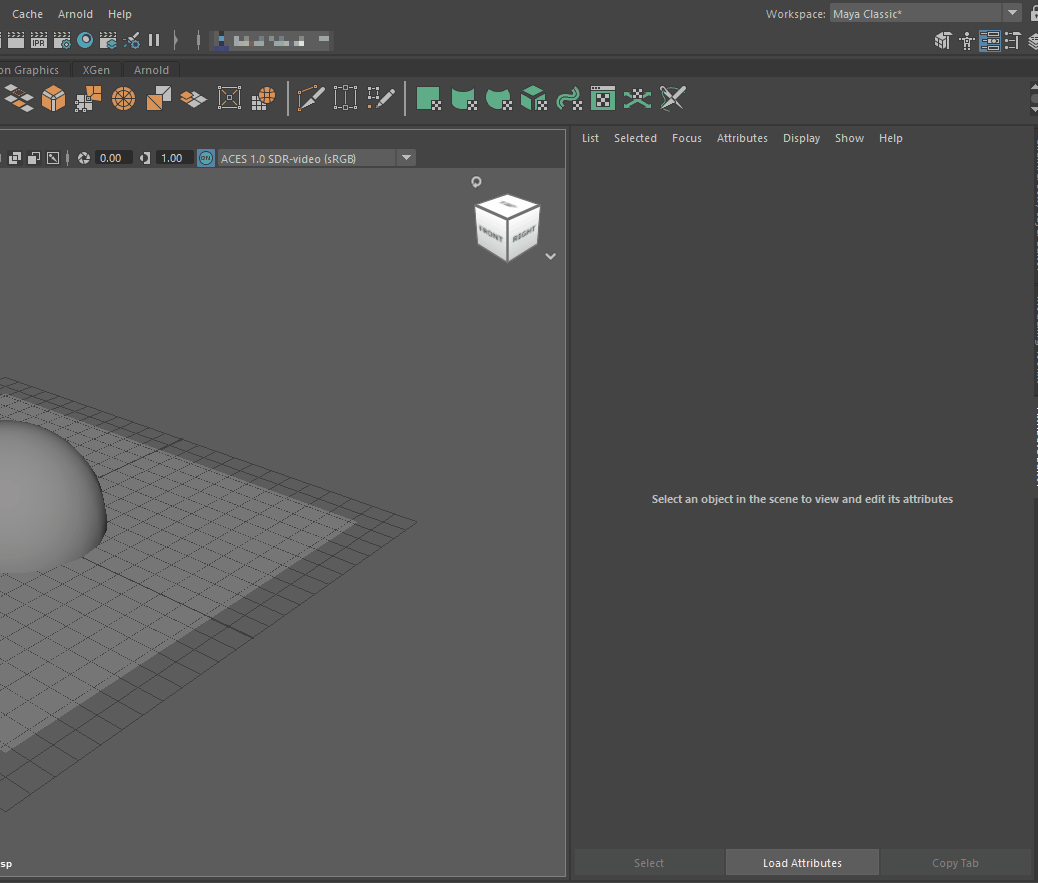 How To Save Metadata In Image Output Of Arnold Renderings In Maya