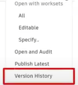 Version History option is missing in Revit