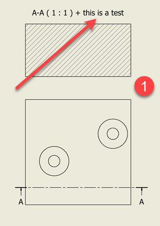 Custom text is gone from the view label when a section view is ...