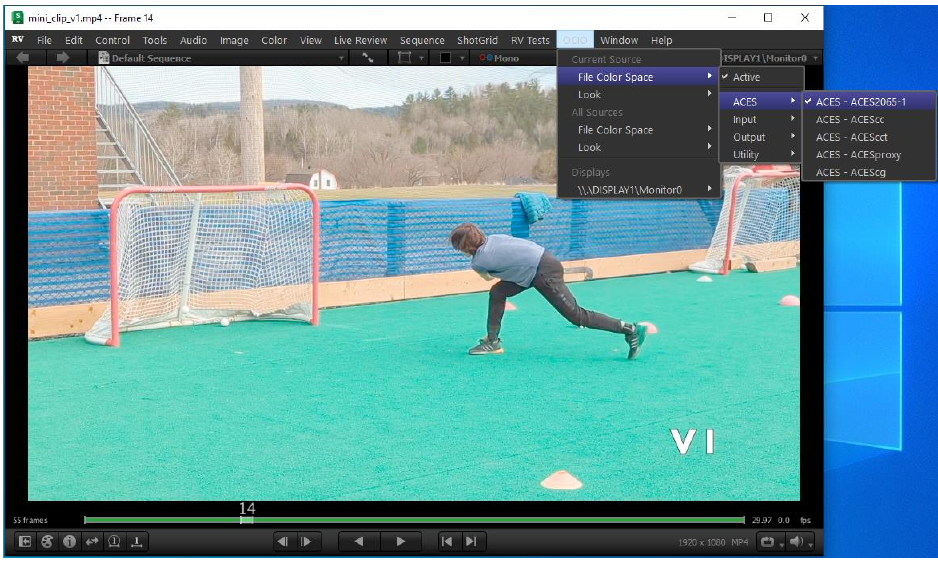 How to setup OCIO in RV for Flow Production Tracking (formally ShotGrid)