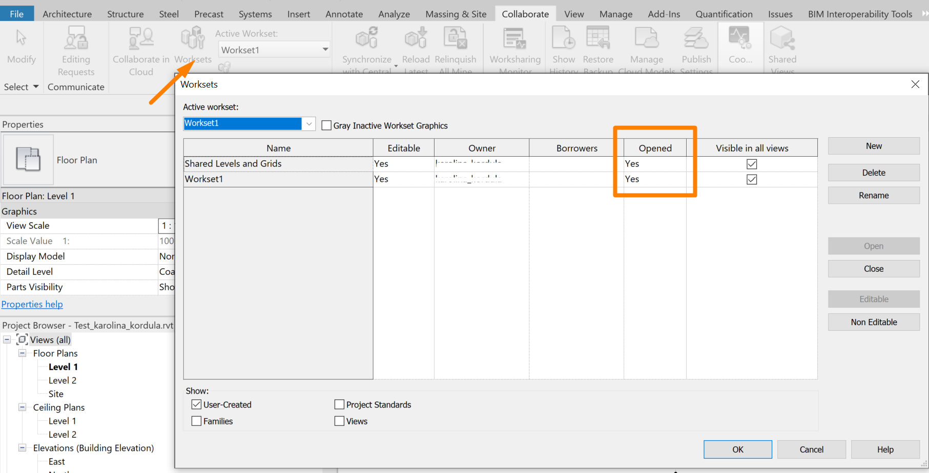 Elements From Central File Are Missing In Local Files In Revit