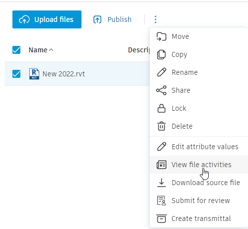 How to check Revit cloud Model type