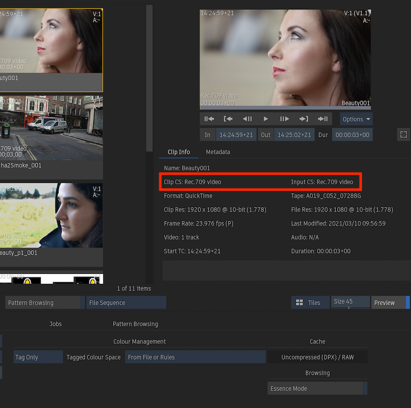 Input RulesでQuicktimeをsRGBとして読み込む設定をしたがRec.709として読み込まれてしまいます