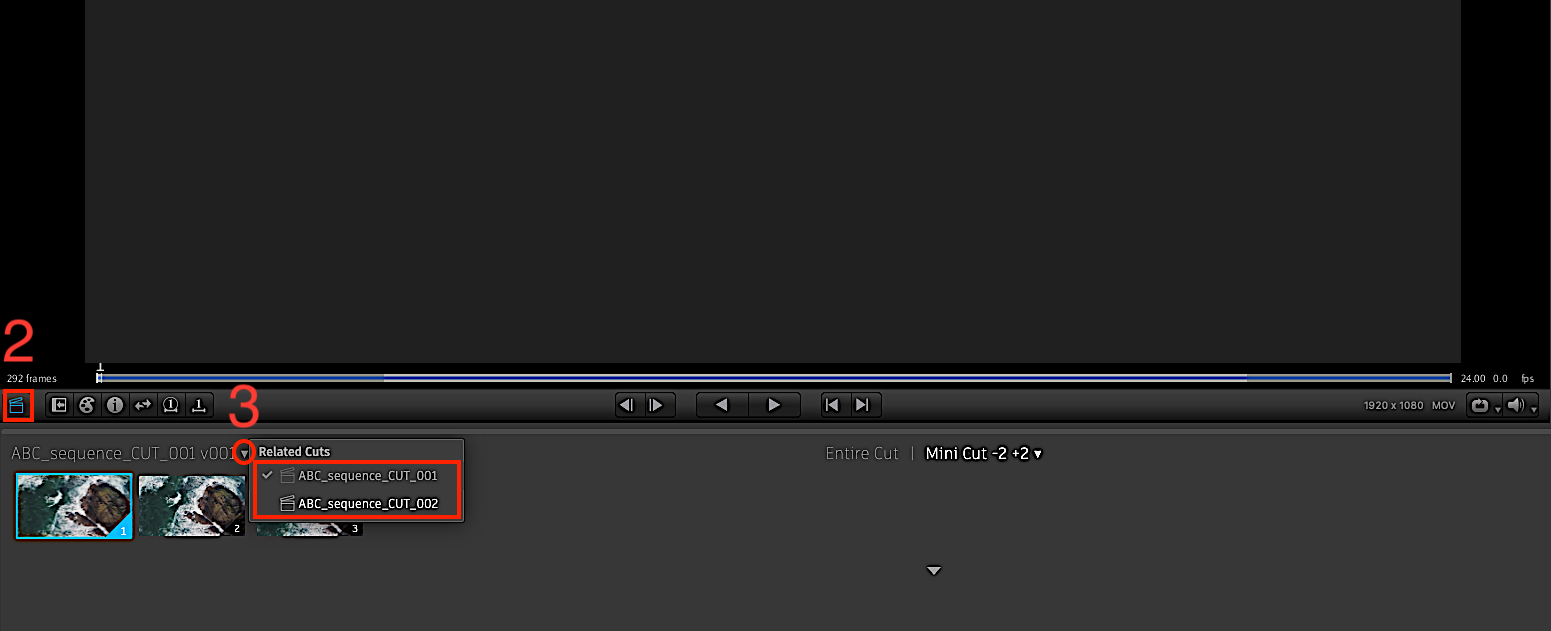How To Show Cuts In The Browser Panel In Shotgrid Rv 