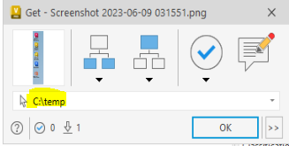 Quando si utilizza il comando CARICA per scaricare i file, l'icona non è presente in Vault Client