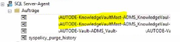 Replizierte Dateien sind nach dem Aktualisieren von Vault Client nicht ...