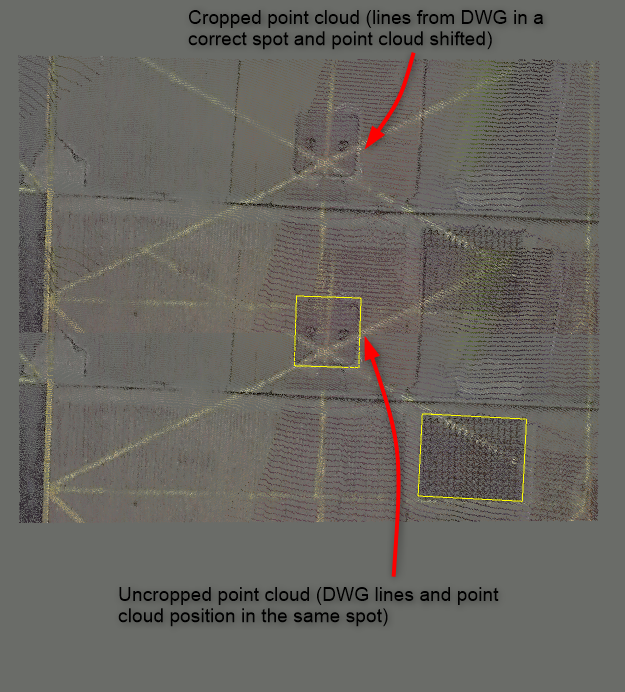 DWG with linked and cropped point cloud displays shifted in Navisworks
