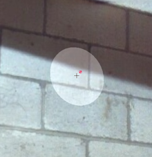 ReCap Pro で RealView で計測できない