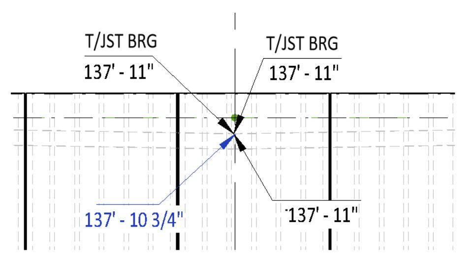 How to control custom text in a spot elevation in Revit