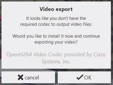 "Video Export" (OpenH264) appears when creating an animation in ReCap Pro