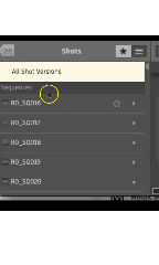 Hide sequence names in screeningroom for RV in Flow Production Tracking ...