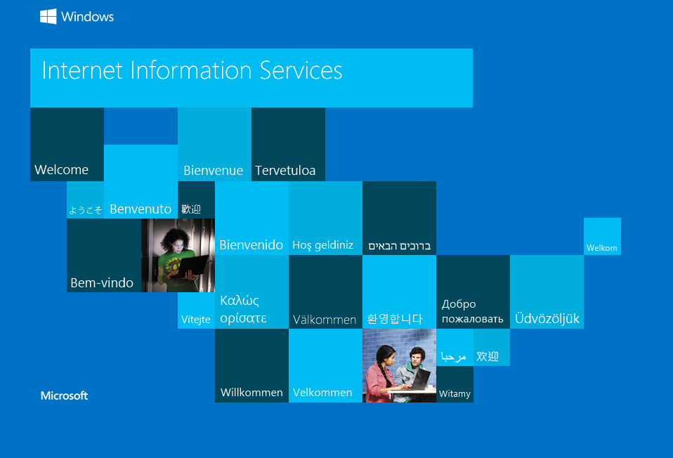 How do I check basic network connectivity between a Vault Client and ...