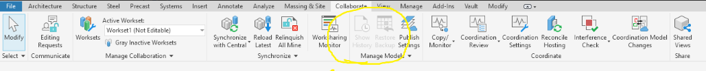 "Show History" & "Restore Backup" tab is greyed out in Revit