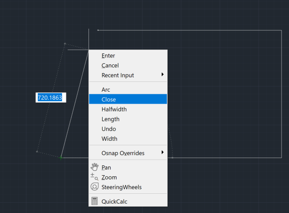 Graphics at the endpoint with given thickness appear not closed in AutoCAD