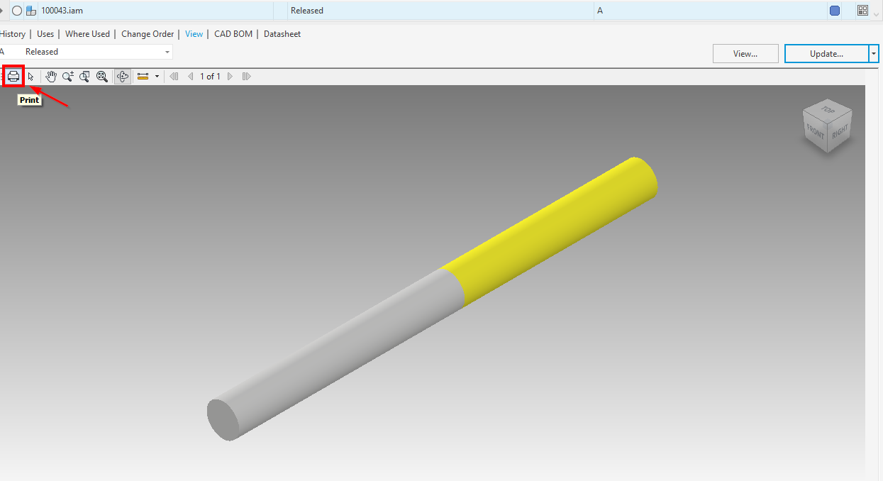 What are the Printing options in Vault?